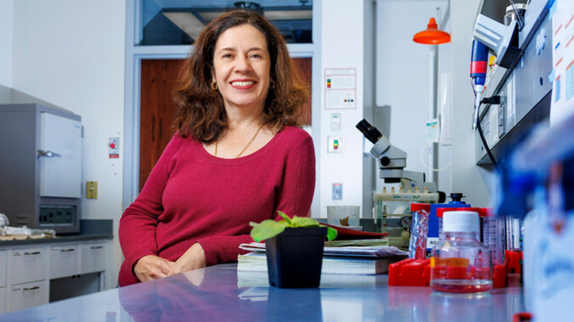 Department of Plant Pathology | Nebraska